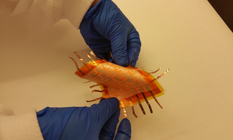 ‘Smart skin’ mimics real thing | Laboratory Talk