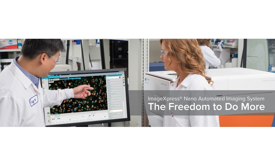 Molecular Devices Launch Imaging system and Analysis Software ...