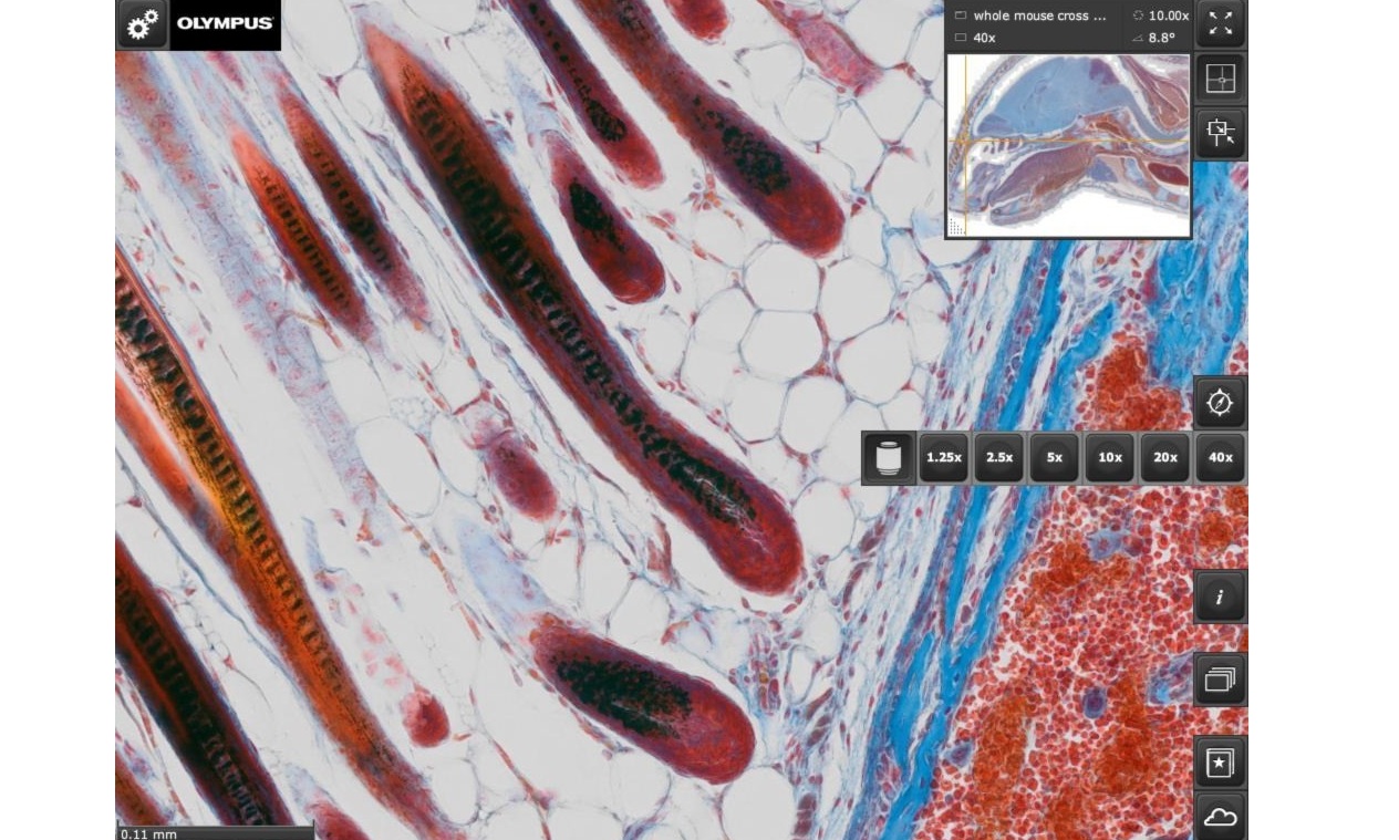 High quality images at a touch | Laboratory Talk