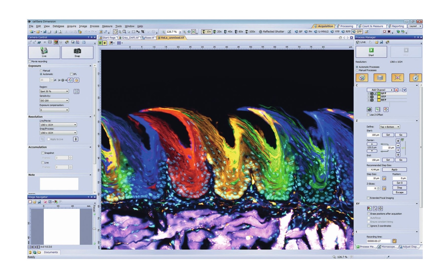 Bringing images to life with microscopy kit | Laboratory Talk