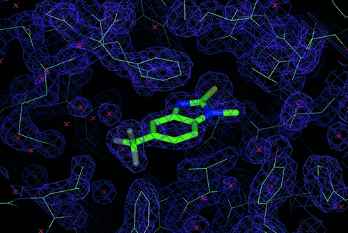 Pre-validated fluorinated fragment library | Laboratory Talk